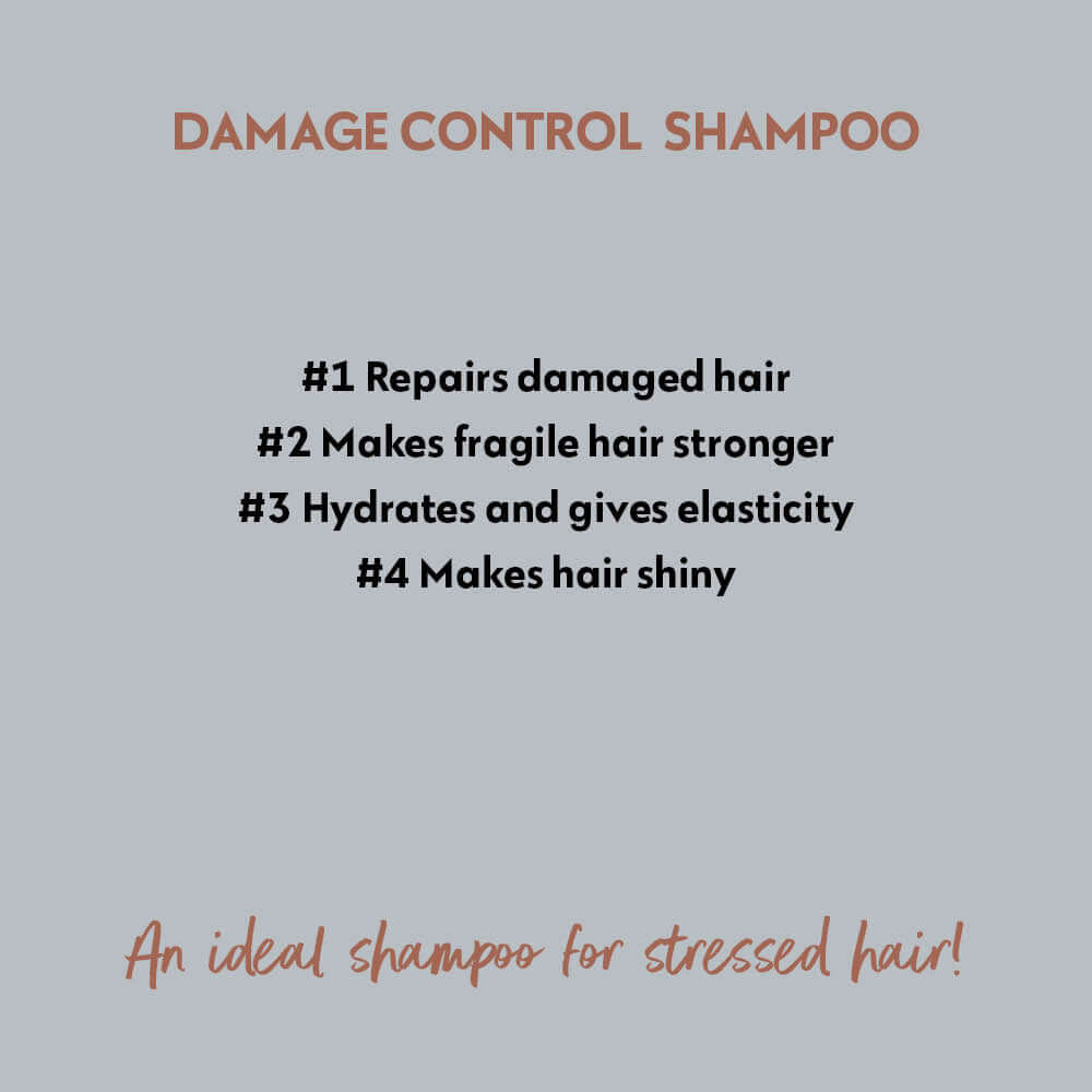 Damage Control Shampoo - Four Reasons - Vegan, Sustainable Hair ...